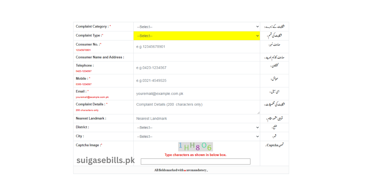 Understanding Sui Gas Lodge Complaint Process - sui gas bill